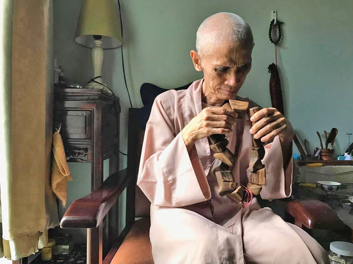 Tuệ Sỹ: Sự Hủy Diệt Của Một Trào Lưu Tư Tưởng – Uyên Nguyên